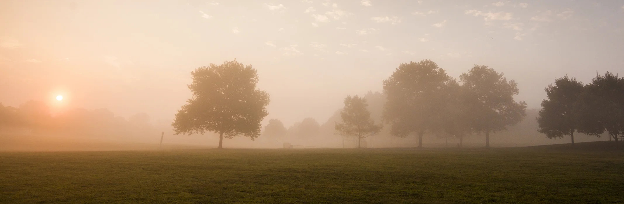 Early Morning Foggy Landscapes — Write Lighting | Photography | Videos ...