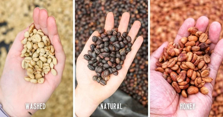Washed, Natural, Semi-Washed - What does it all mean? — Vienna Coffee ...