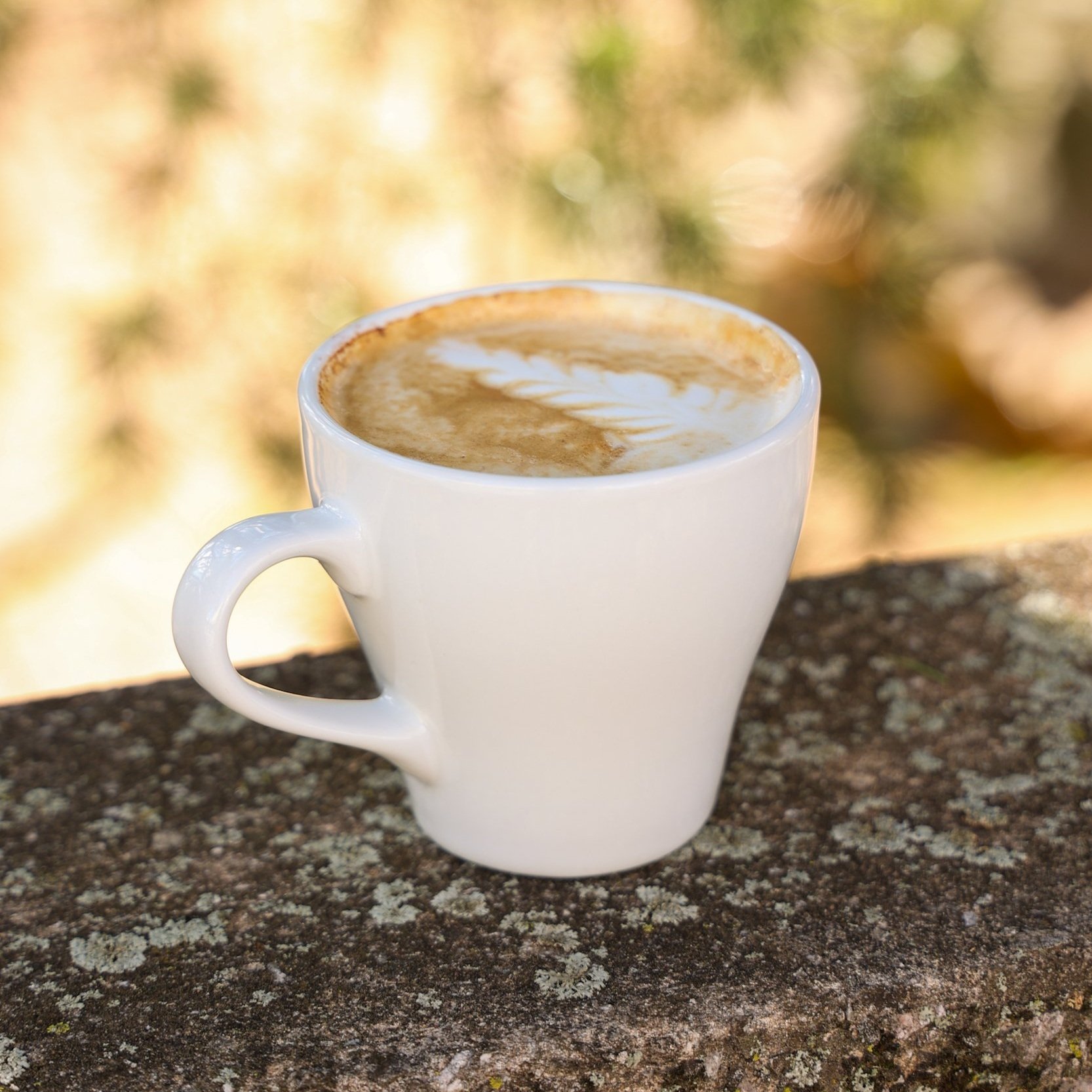 Menu — Vienna Coffee Company