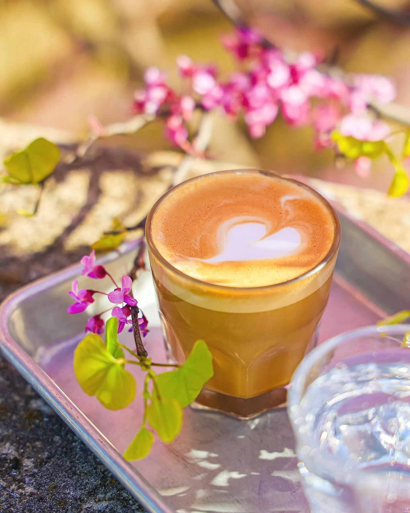 Vienna Coffee House — Vienna Coffee Company