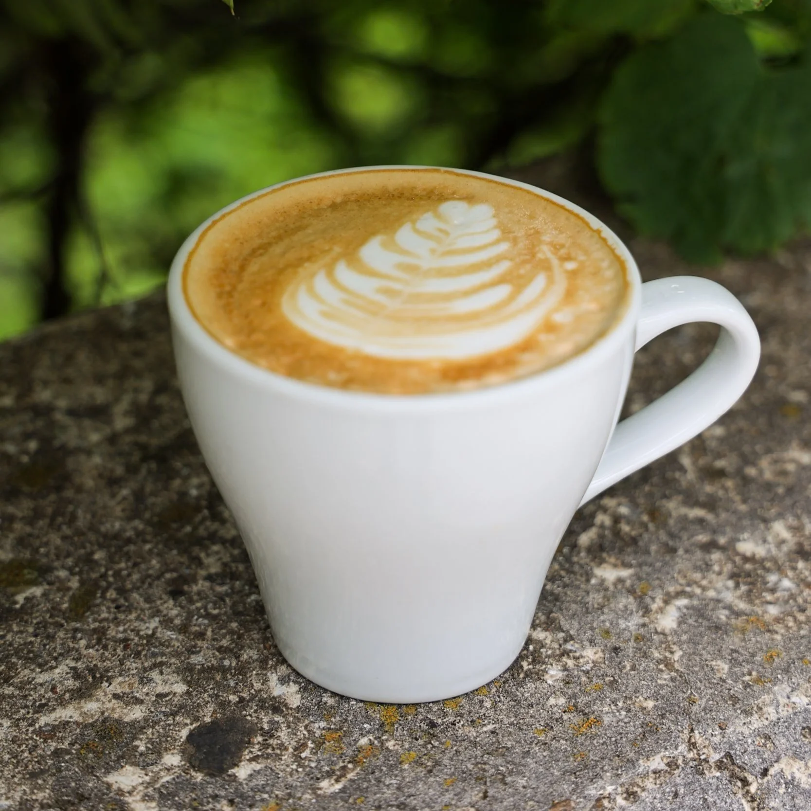 Vienna Coffee Company