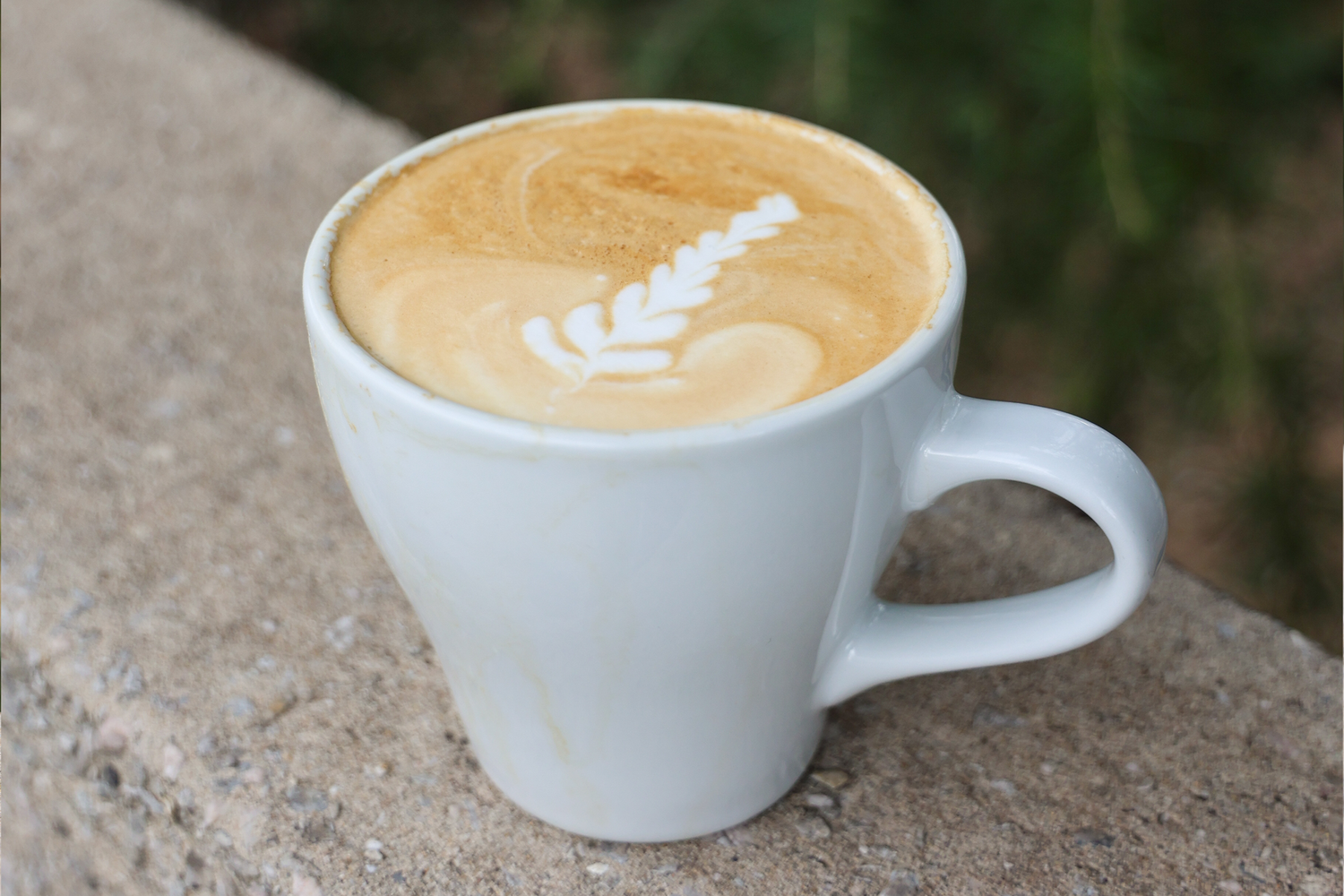 Vienna Coffee Company