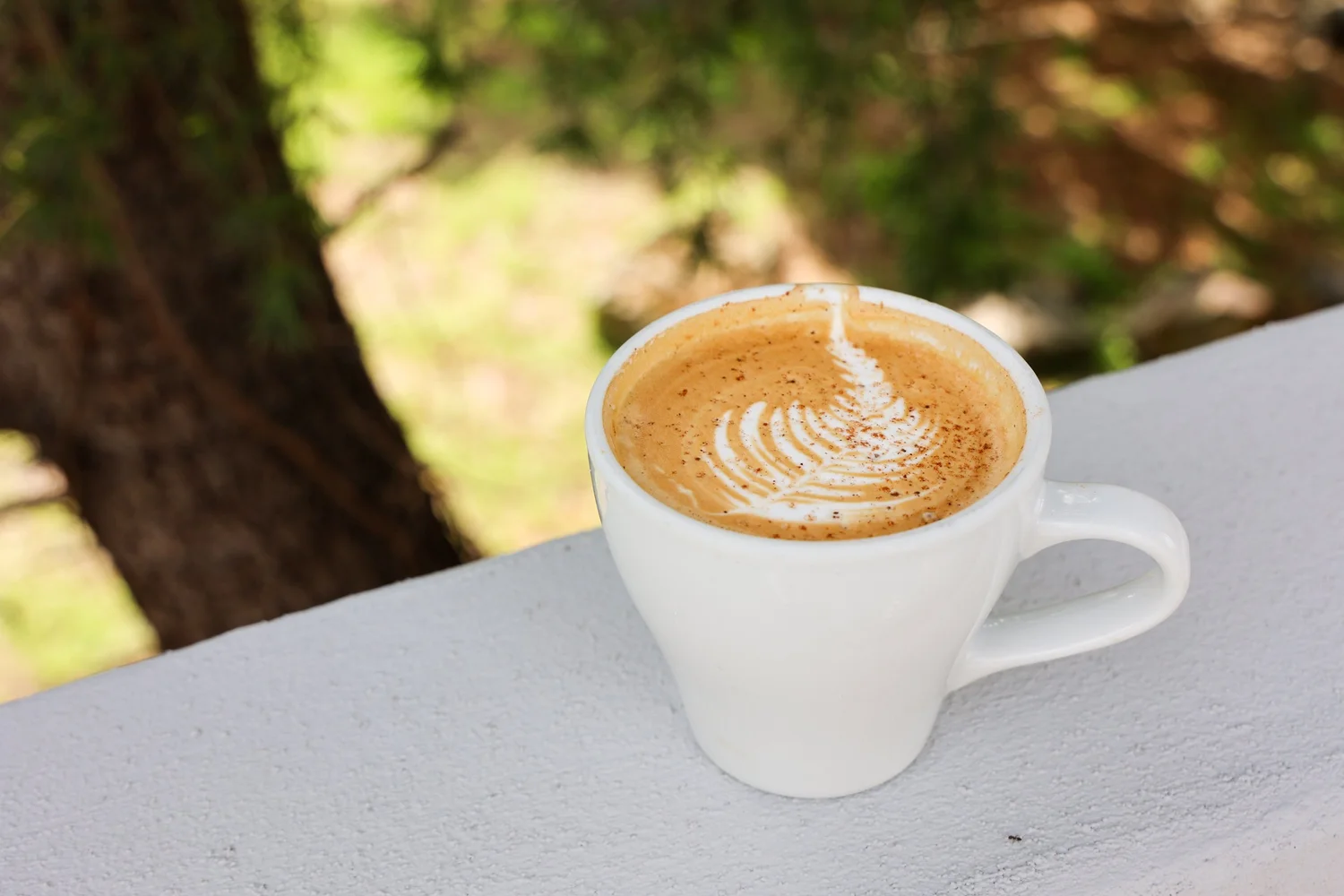 Vienna Coffee Company