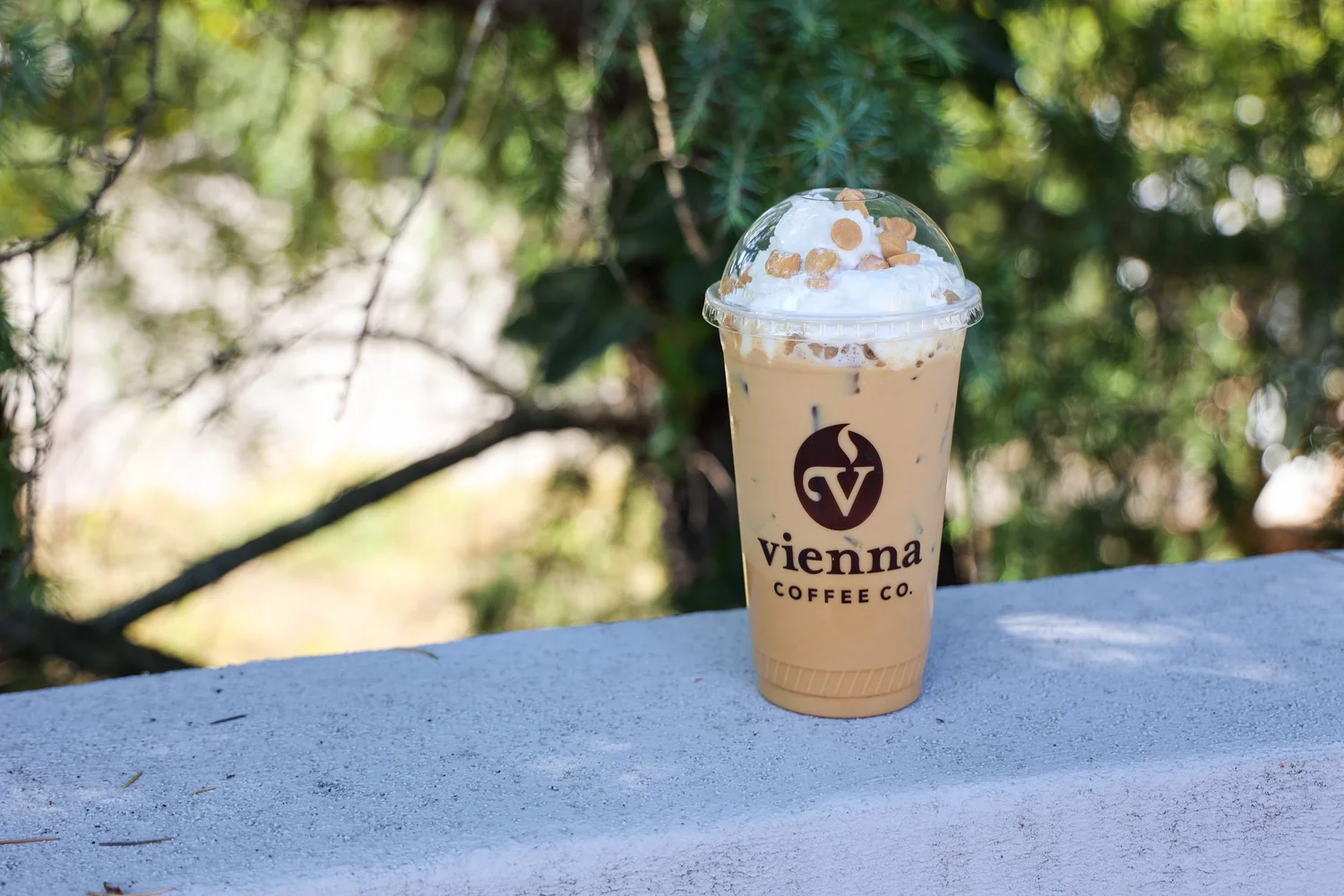 Vienna Coffee Company