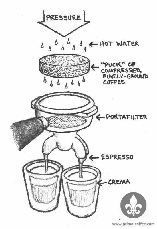 Coffee Word of the Month: Portafilter — Vienna Coffee Company