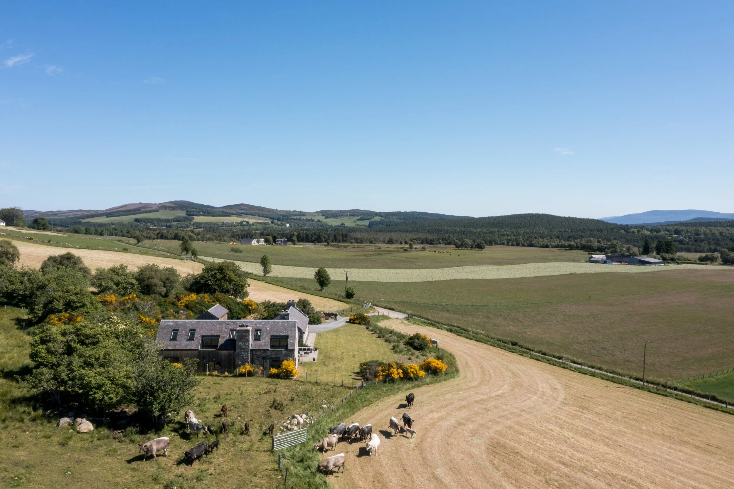 FRENCH+TYE | Documenting Architecture + The Built Environment