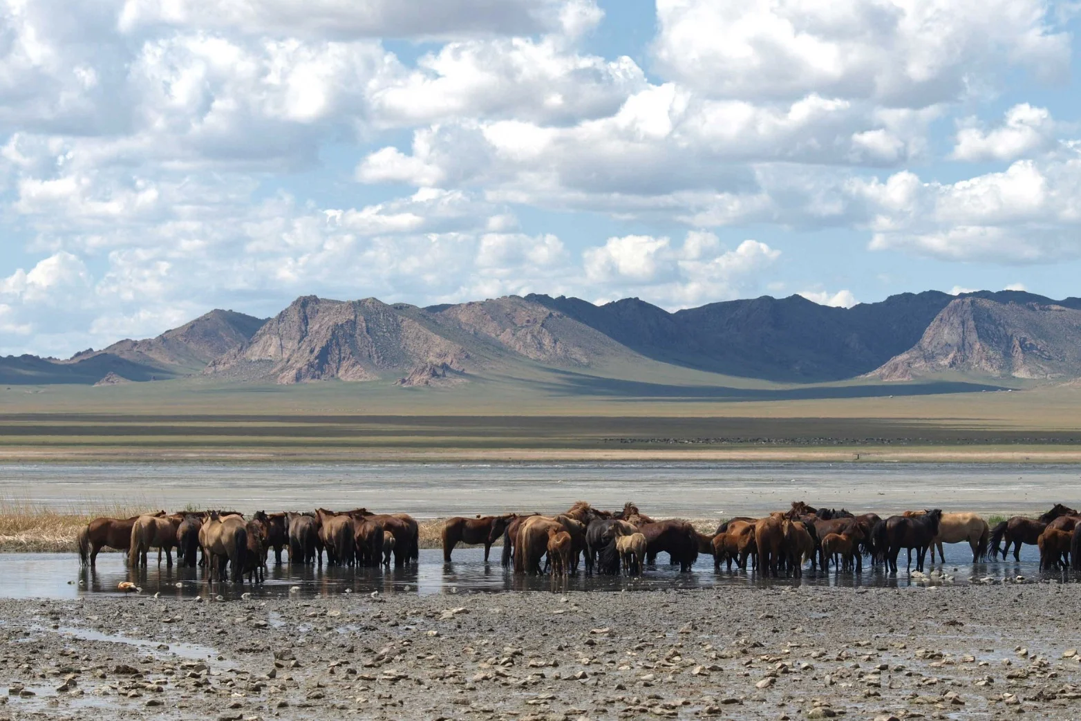 MONGOLIA ADVENTURE — WHOA travel
