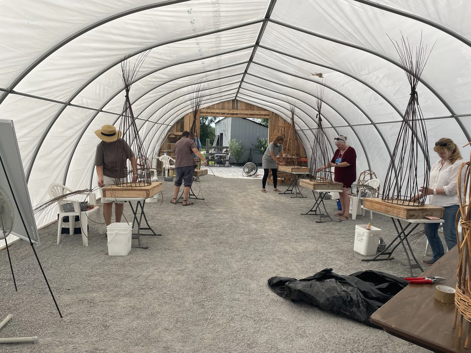 About — The Branch Ranch