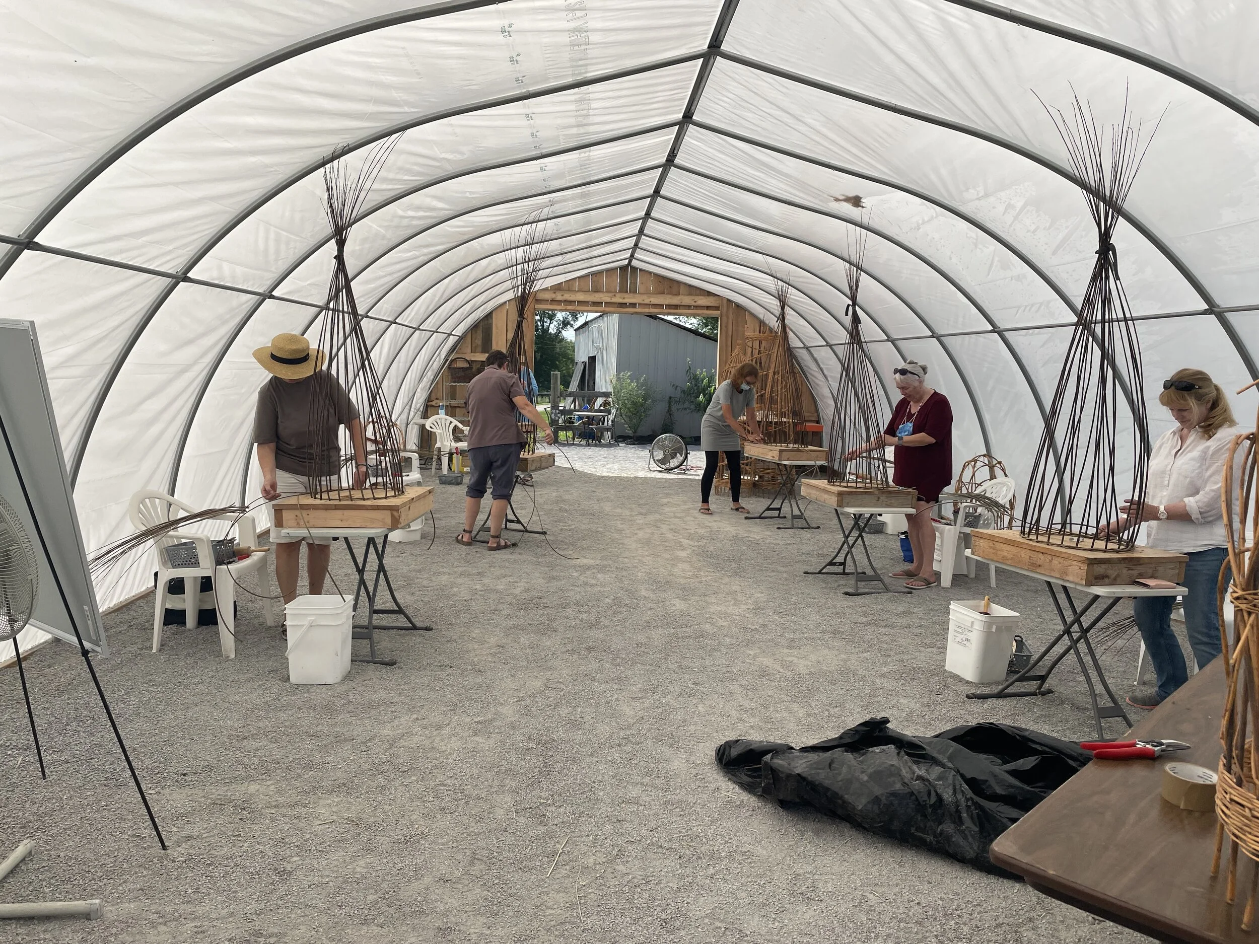 About — The Branch Ranch