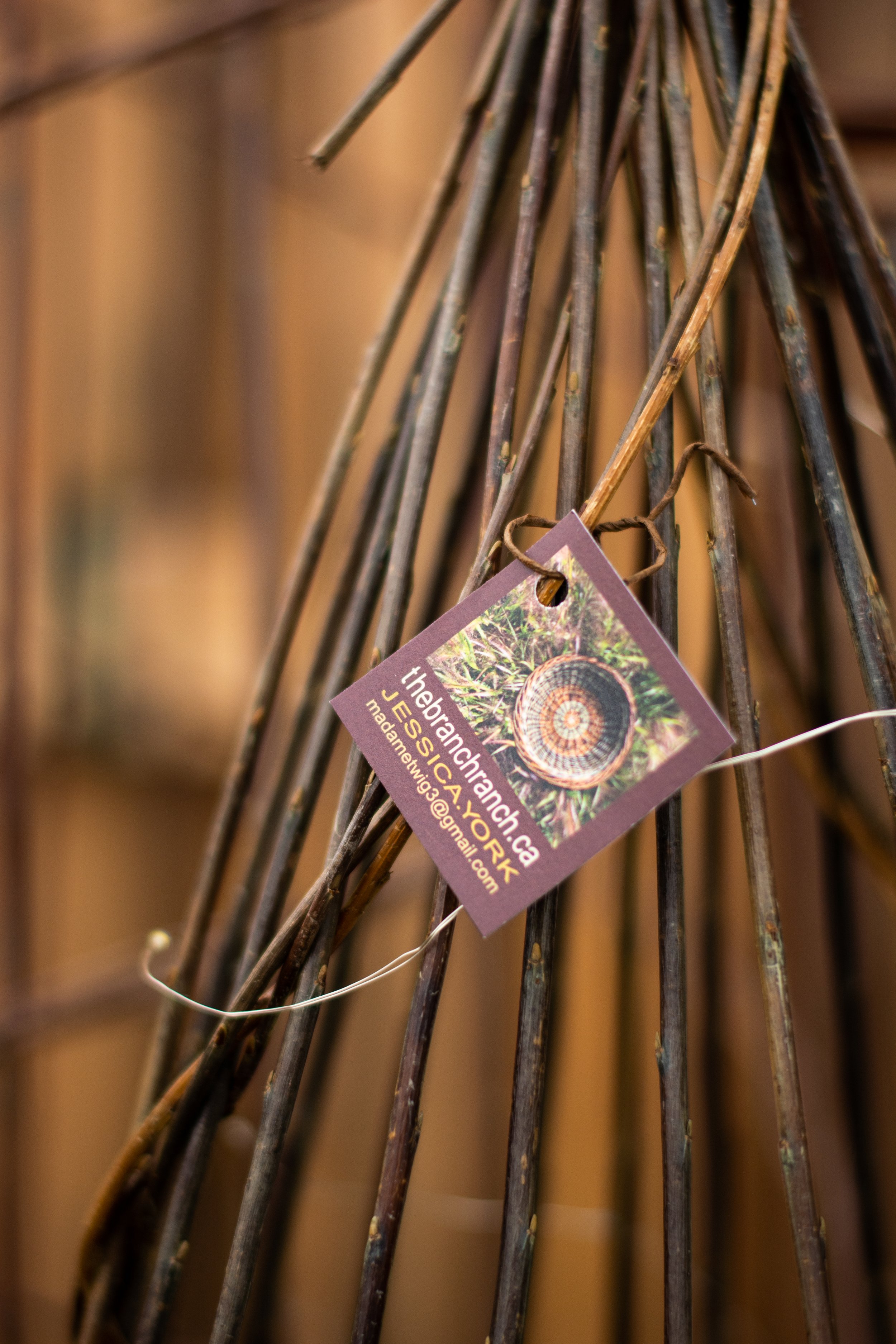 Willow Care — The Branch Ranch