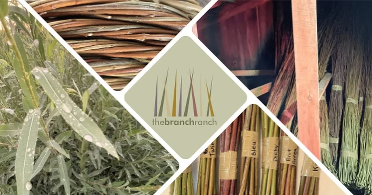 Willow Soaking Instructions — The Branch Ranch