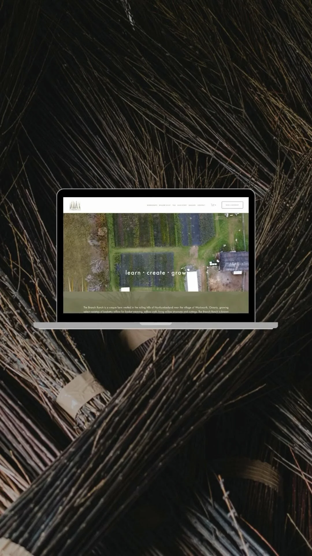 Willow Soaking Instructions — The Branch Ranch