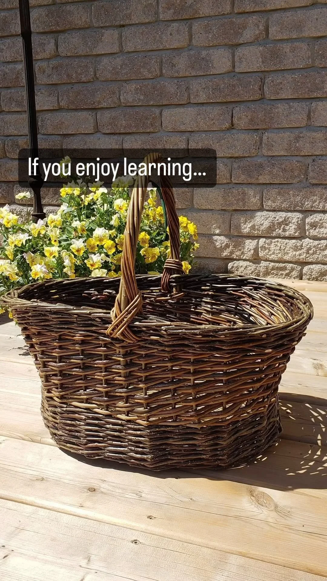 Willow Soaking Instructions — The Branch Ranch