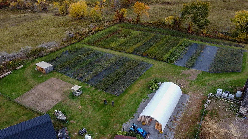 Our Story — The Branch Ranch