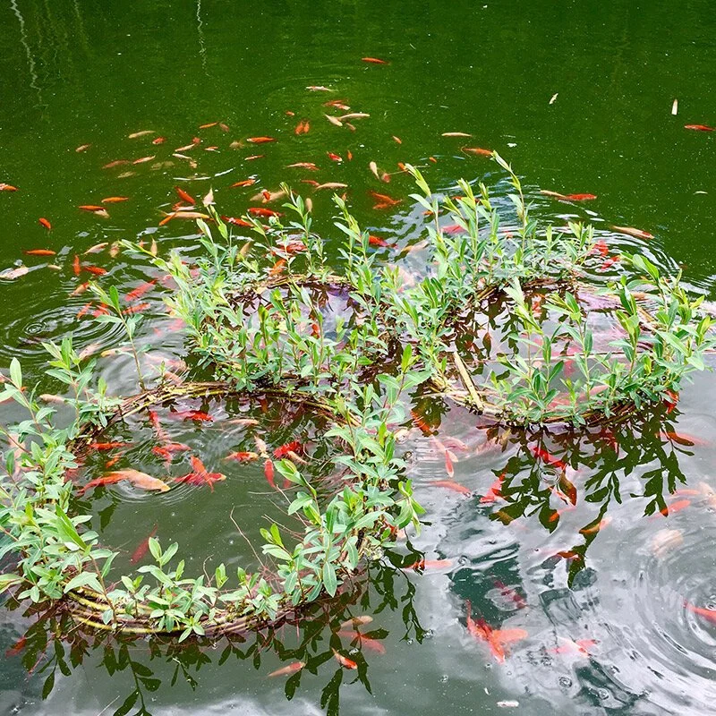 Store — The Branch Ranch