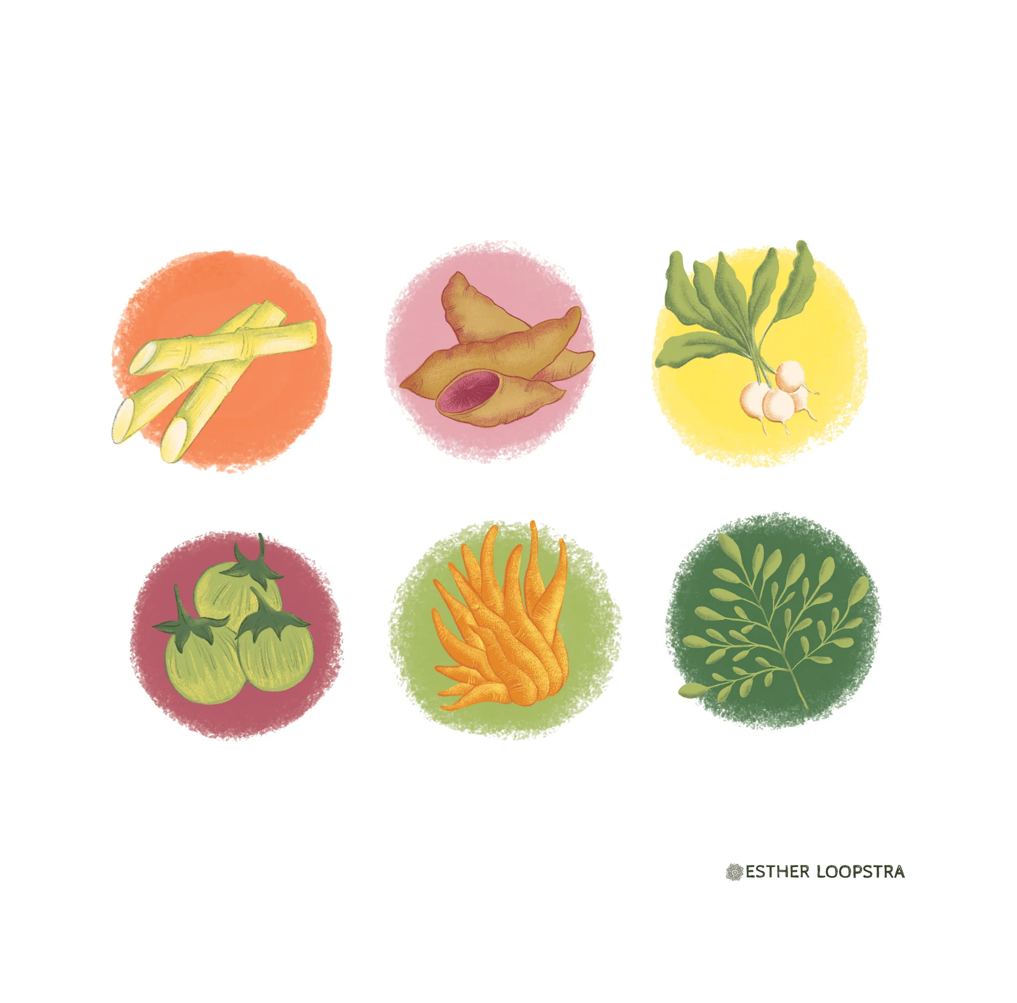 Map & Veggie Illustration Houstonia Magazine — ESTHER LOOPSTRA