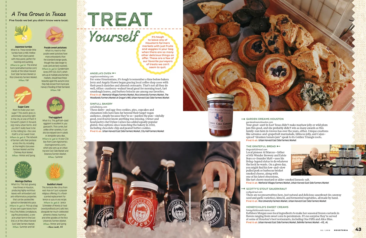 Map & Veggie Illustration Houstonia Magazine — ESTHER LOOPSTRA