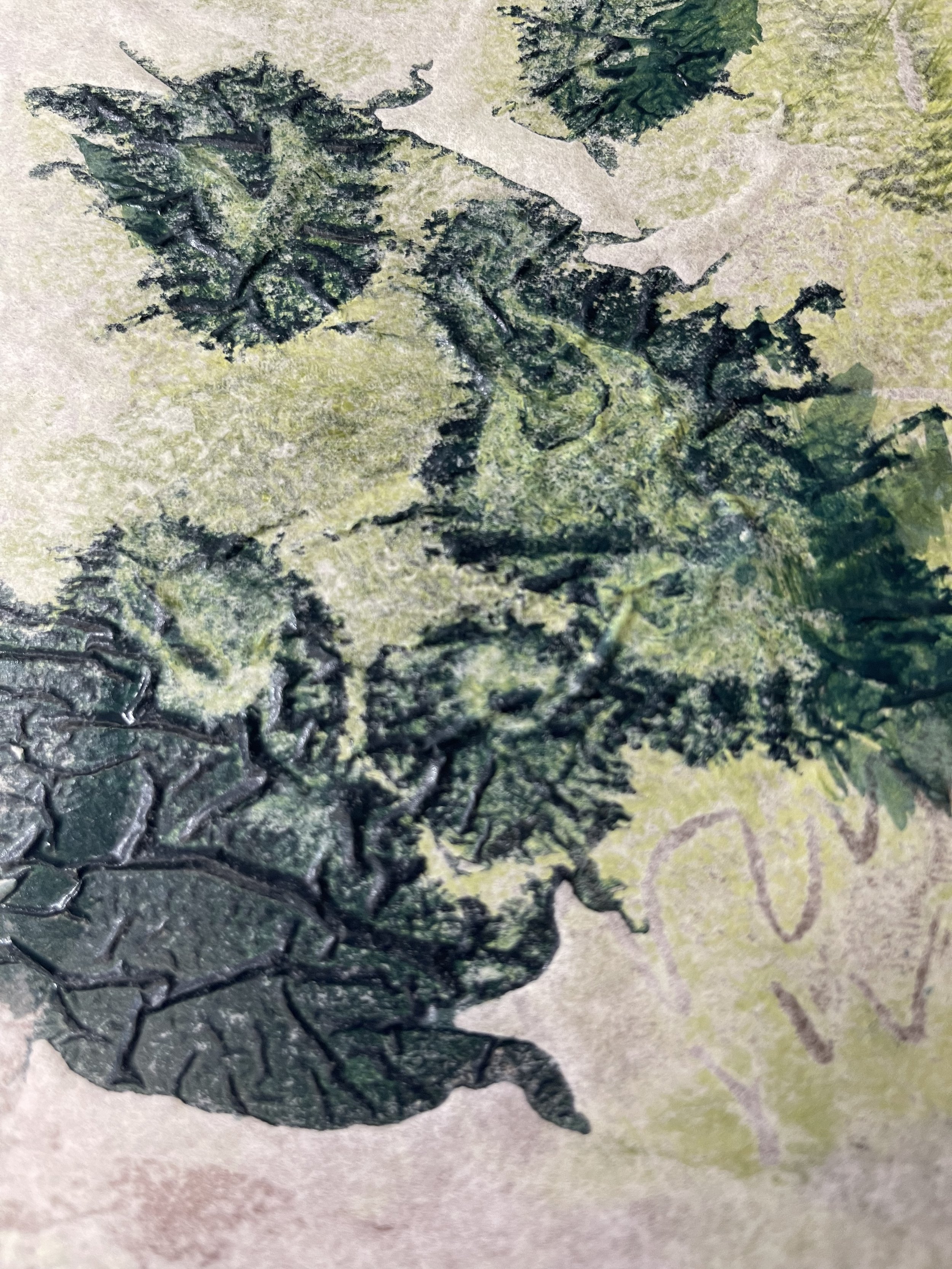 Blog — ESTHER LOOPSTRA