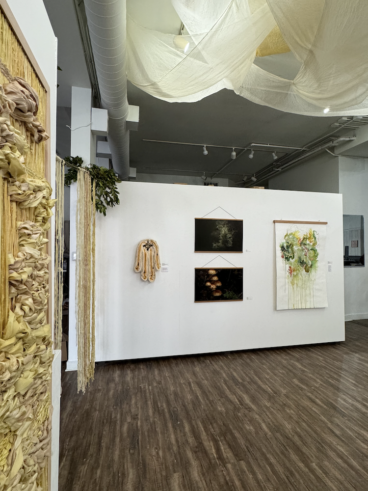 Curation — ESTHER LOOPSTRA