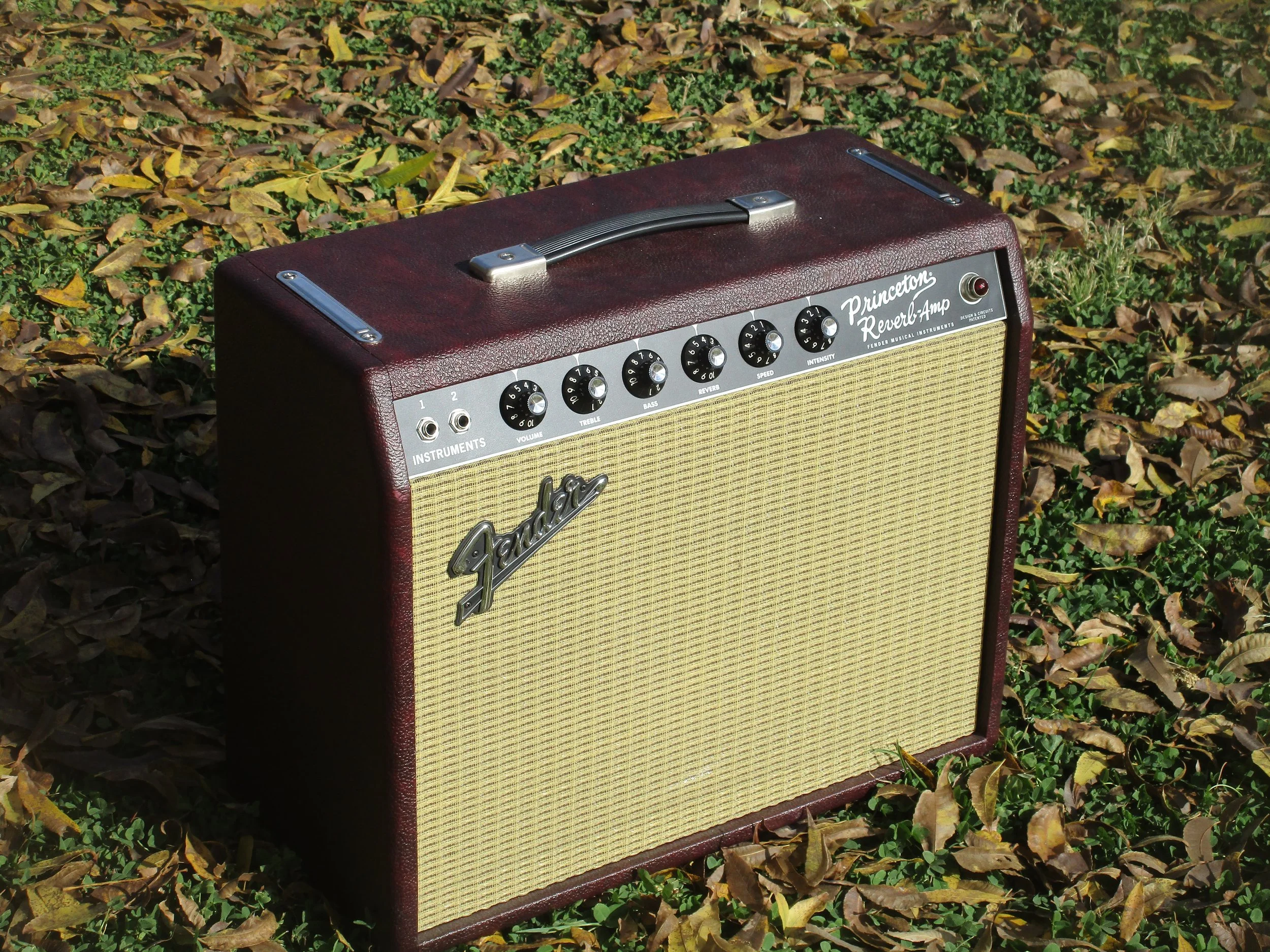 Mods for Fender Princeton RI (PCB) — Carl's Custom Amps