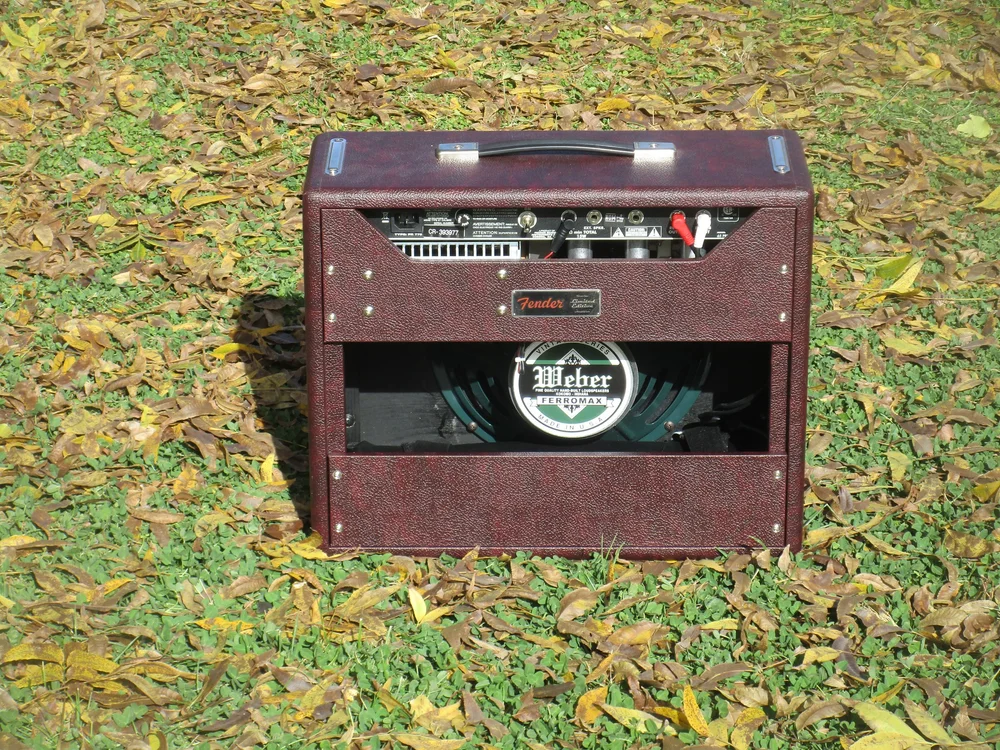 Mods for Fender Princeton RI (PCB) — Carl's Custom Amps