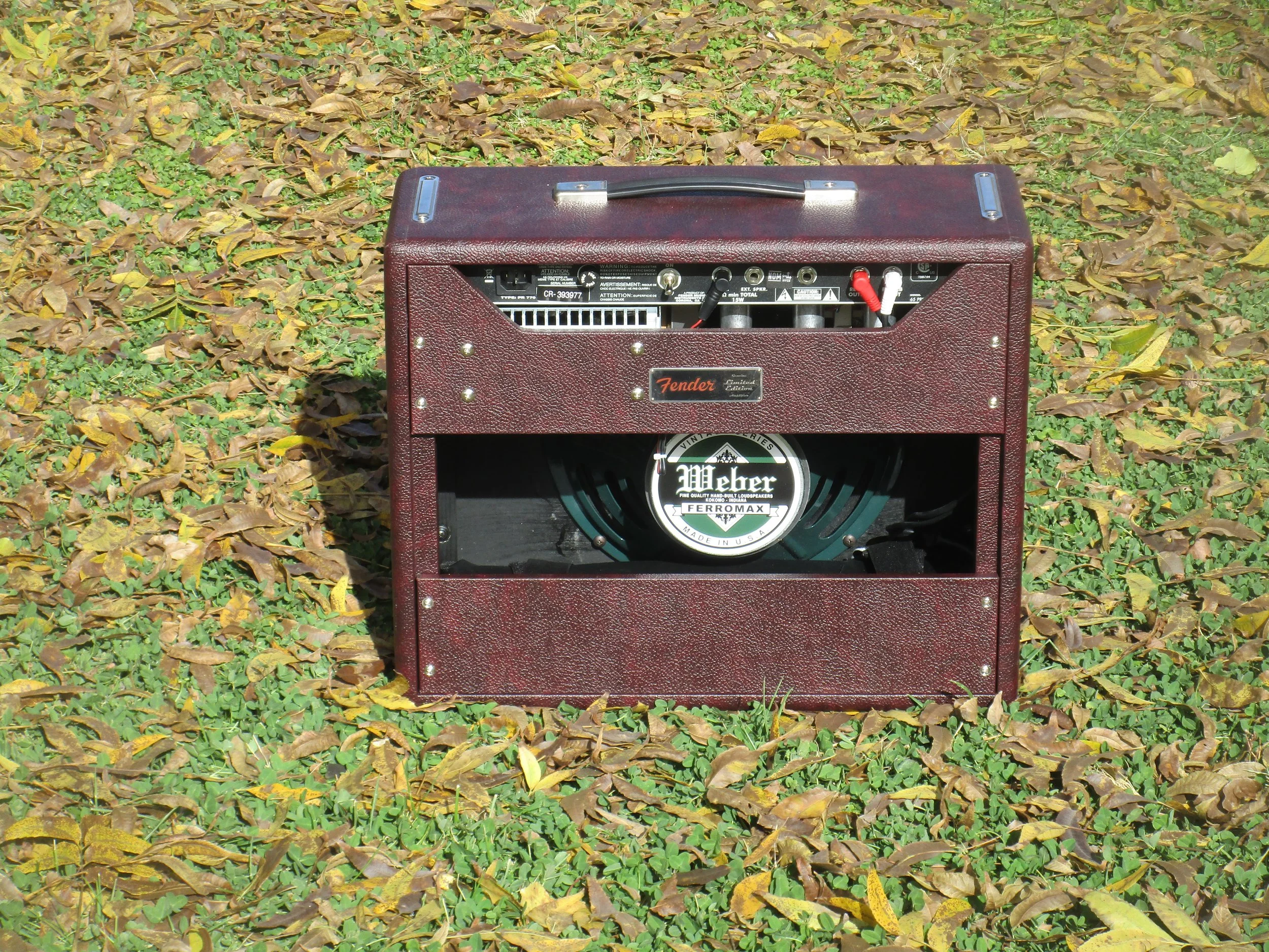 Mods for Fender Princeton RI (PCB) — Carl's Custom Amps