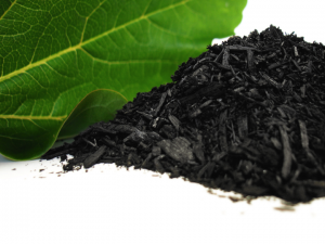 Biochar — Earth Care Products, Inc.