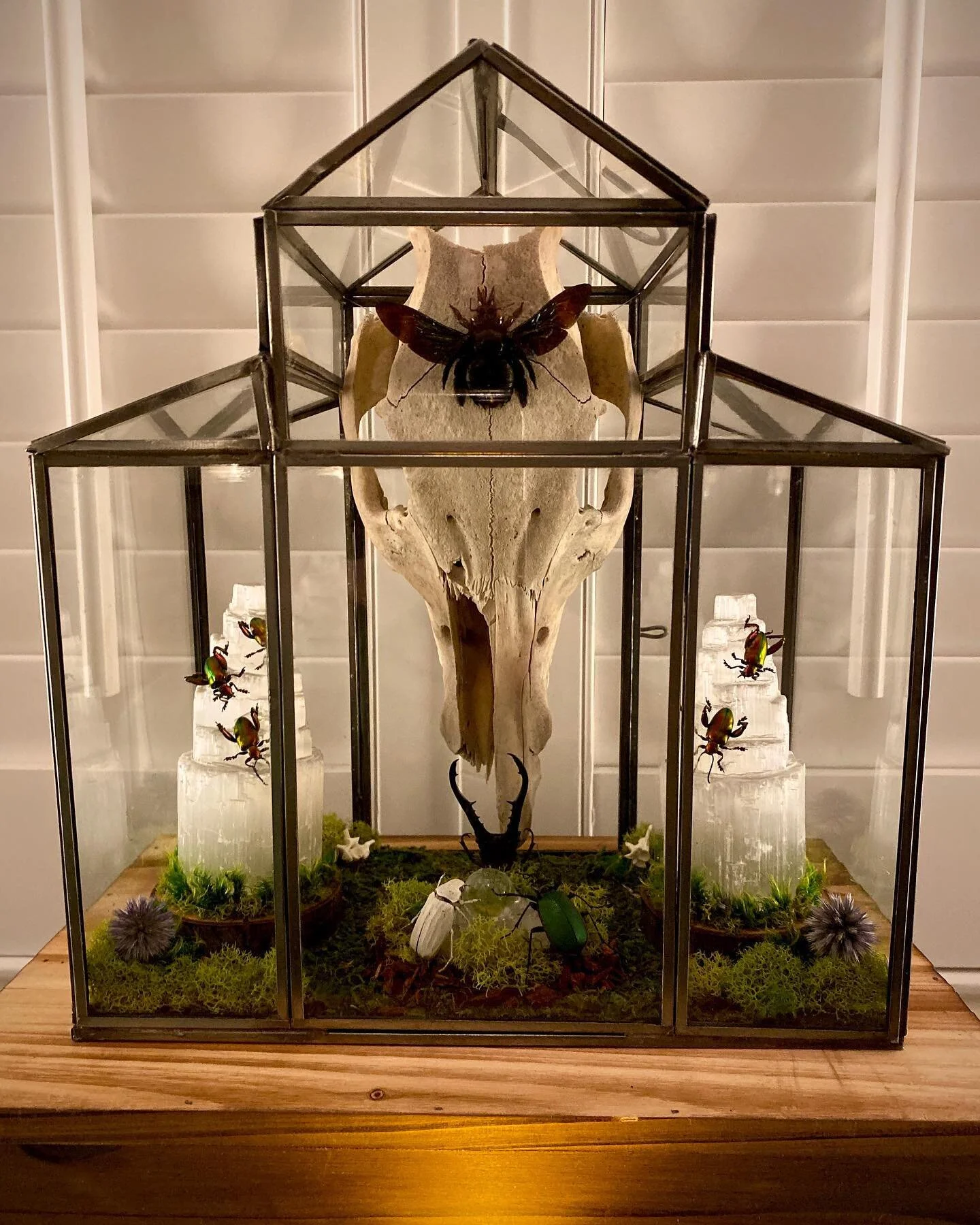 crystal floyd news artist jacksonville florida assemblage cork artist ...
