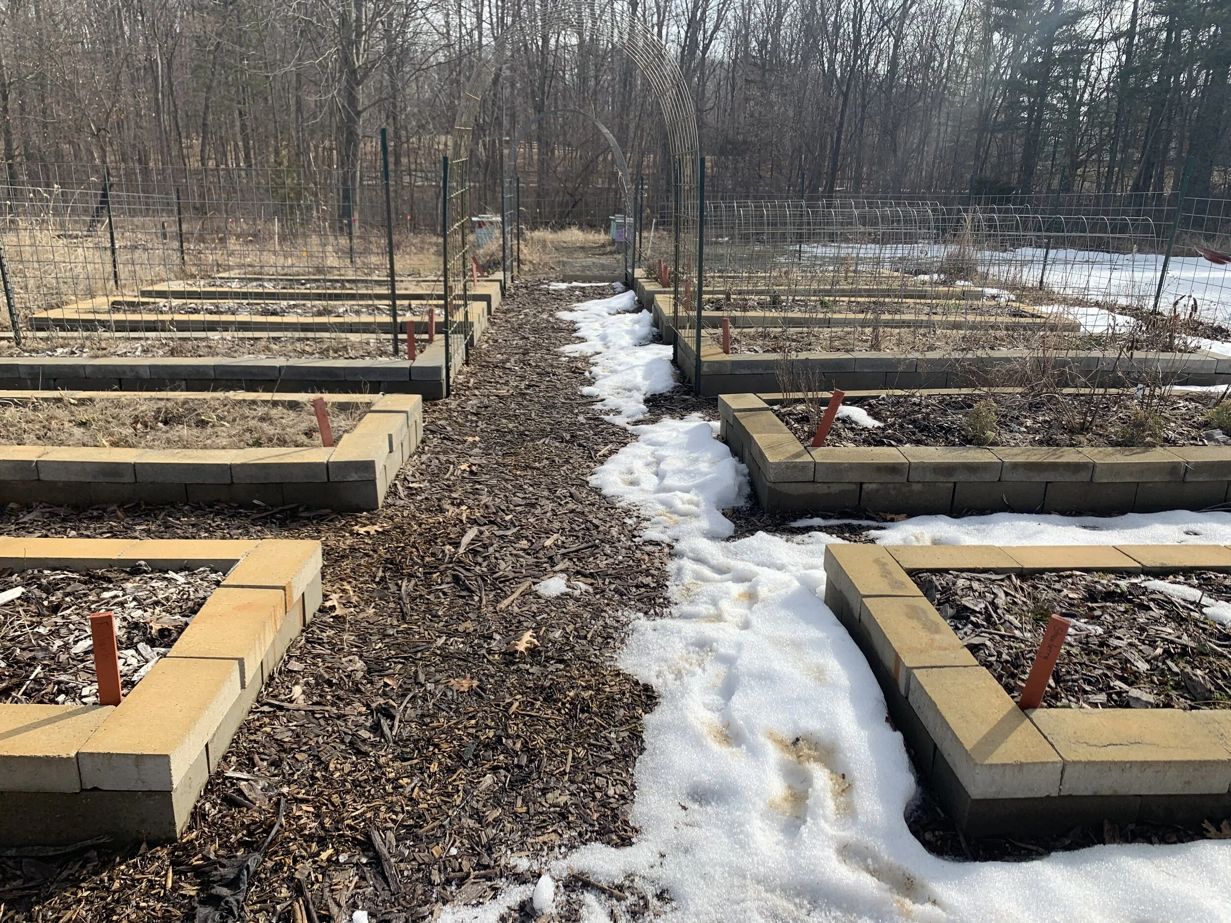 Farm News — Rustic Roots Farm