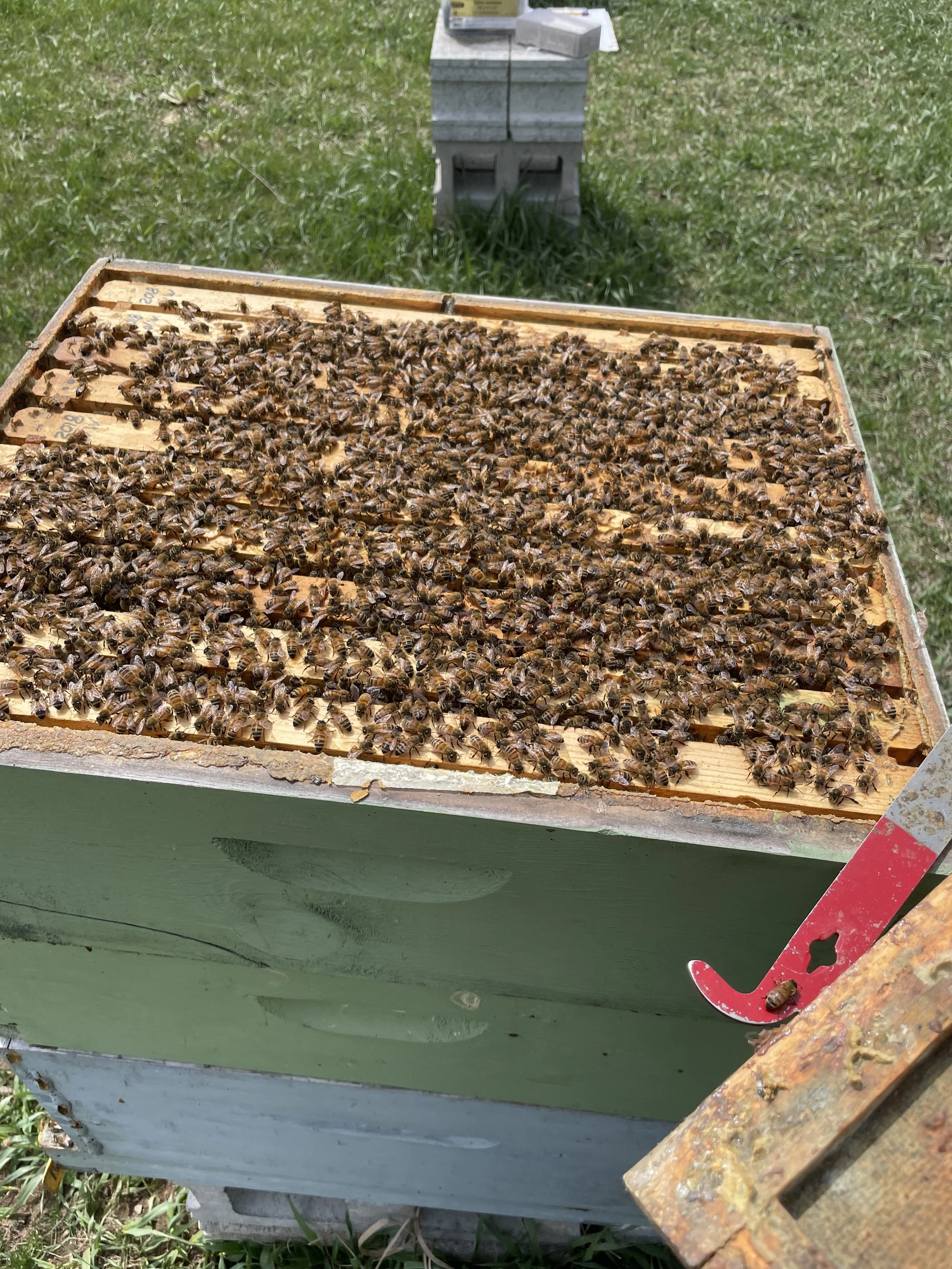 About — Rustic Roots Farm