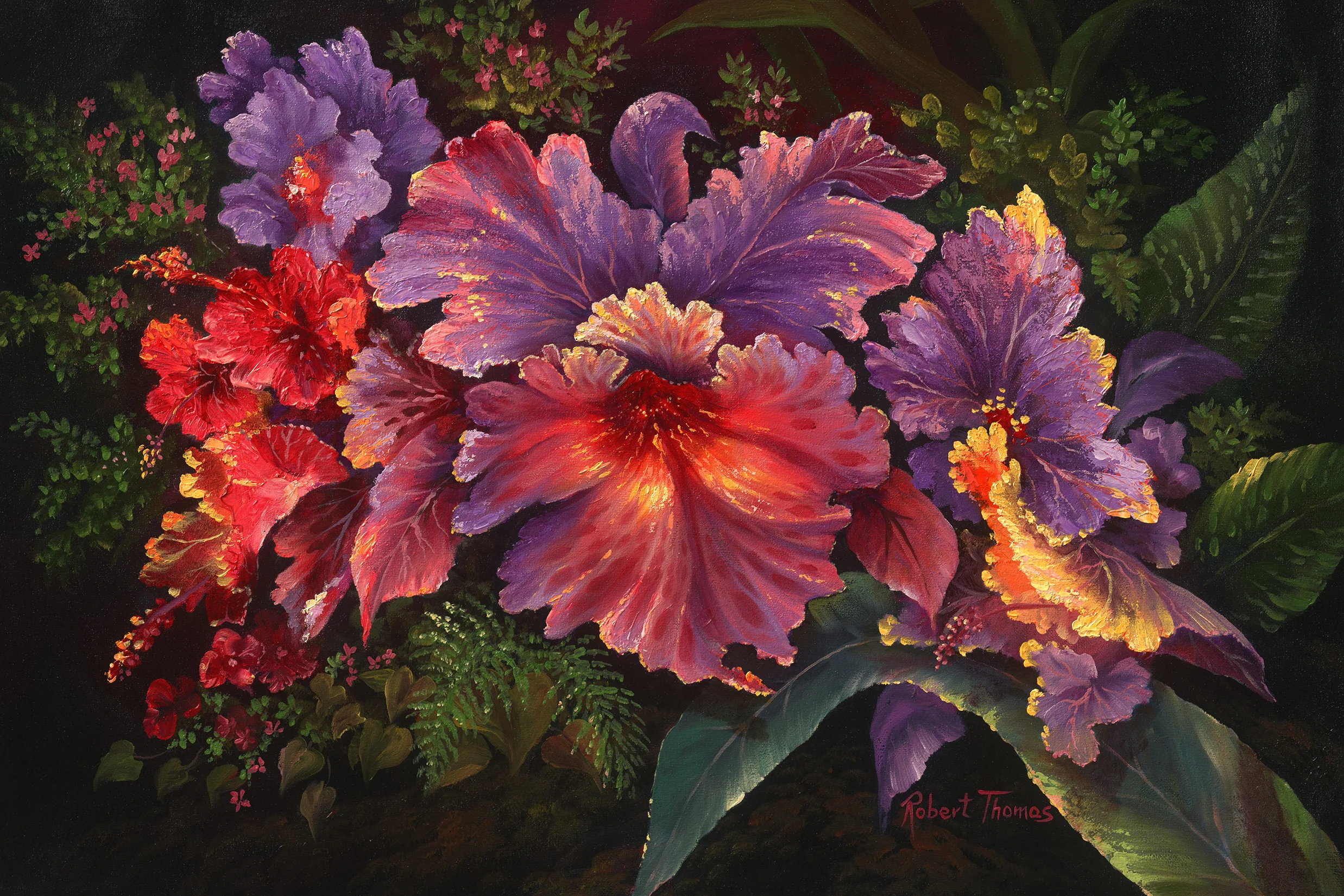 Cattleya Flowers Art Studio | Best Flower Site