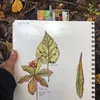 Humans on the Landscape- Hannah Hinchman On Kinds of Nature Journals ...