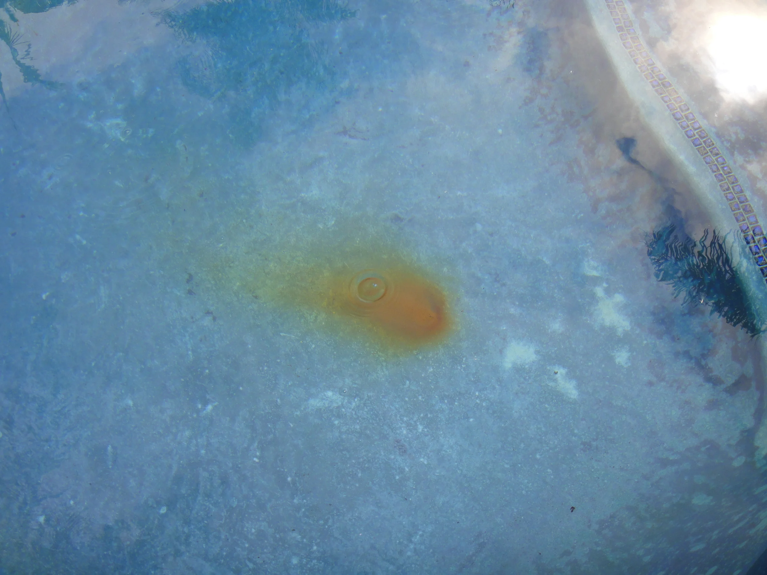 Our Services — Eco Underwater Pool Repair