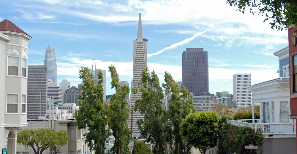 Invasion Of The Body Snatchers - Matthew's Home — Reel SF