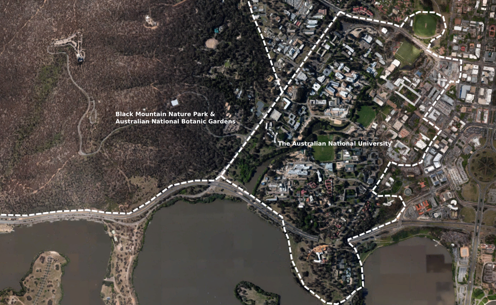 On-campus wildlife — Daniel Hoops