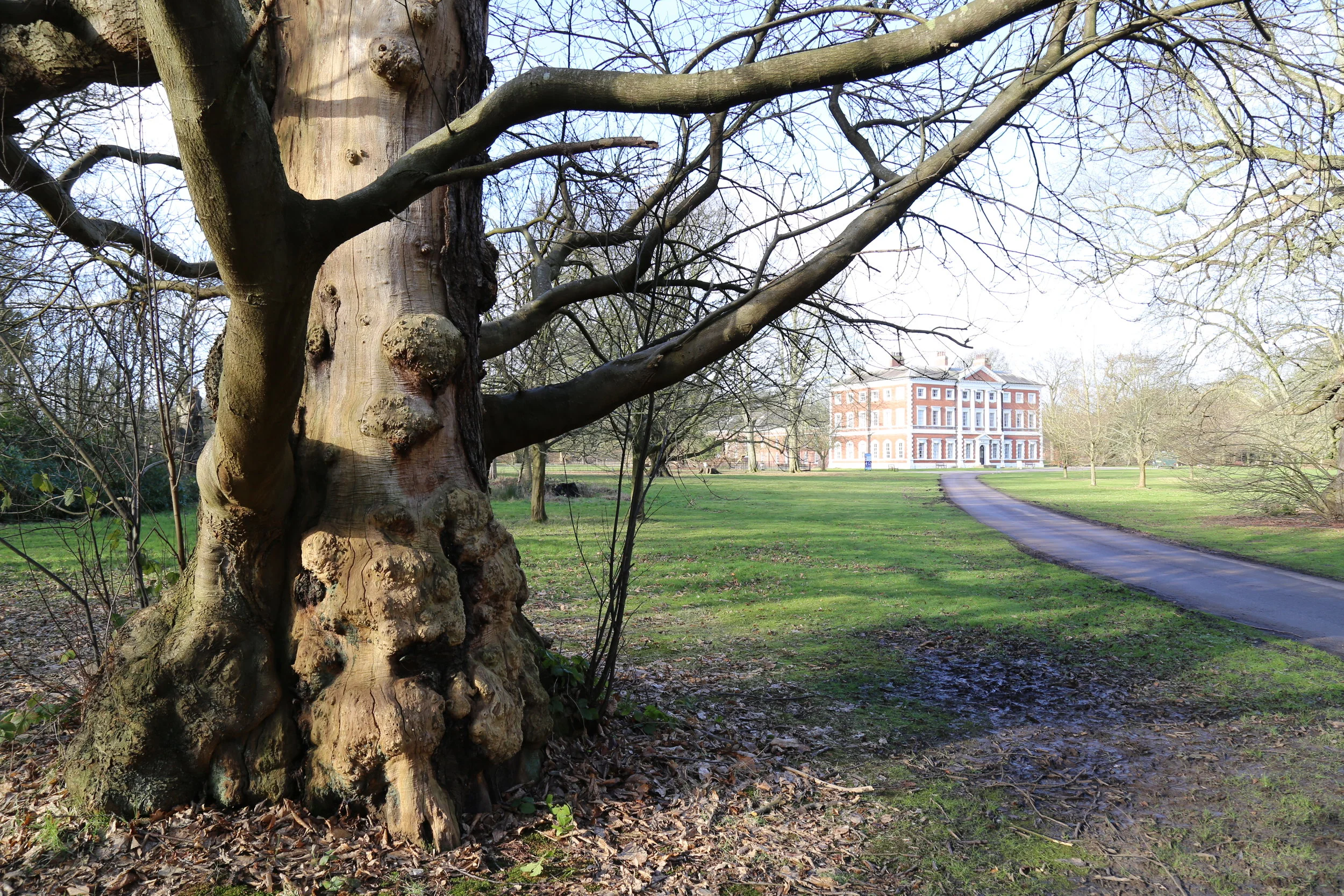 The Park — Eastham Hall Caravan Park