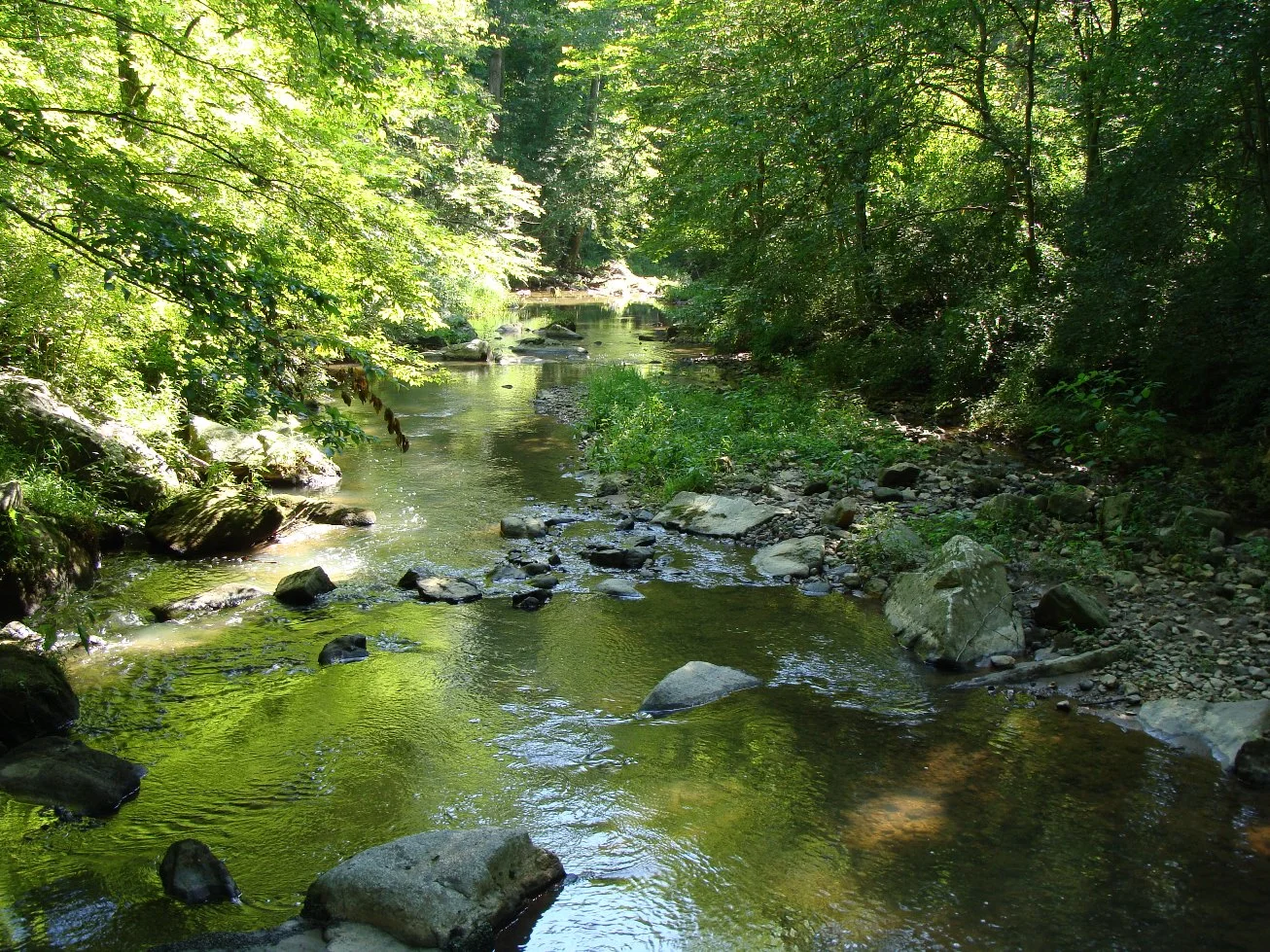 MIDDLE PATUXENT ENVIRONMENTAL FOUNDATION AND AREA