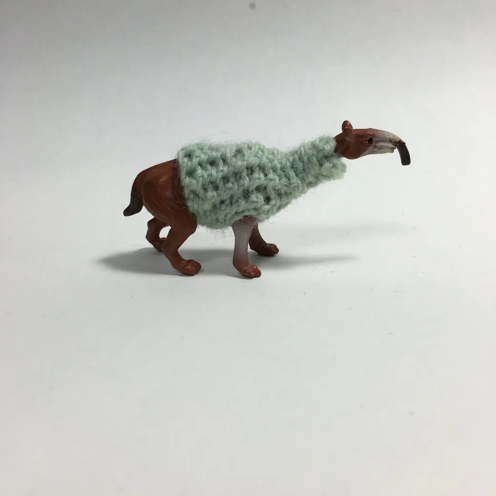 Anteaters Wearing Clothes
