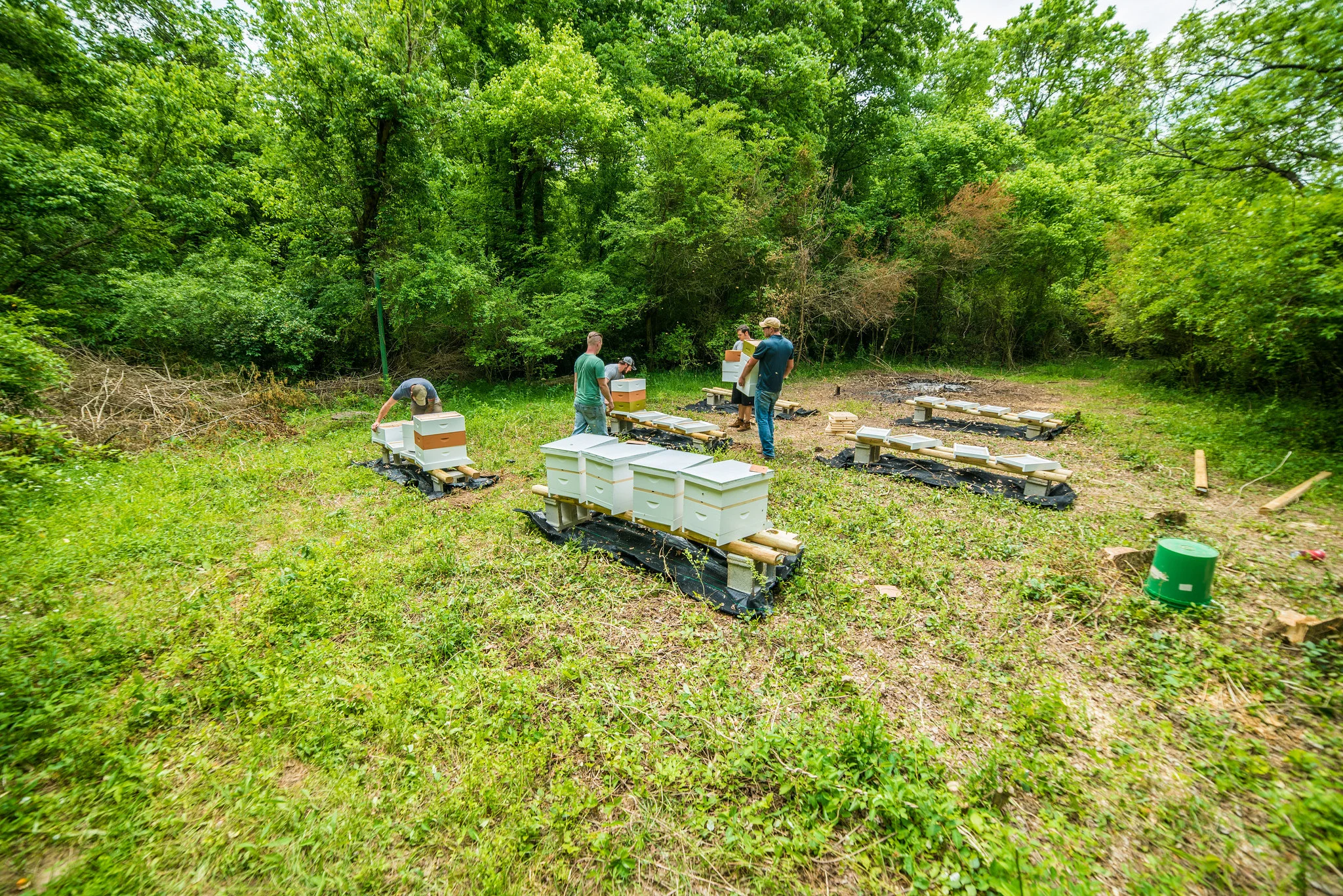 Hopewell Apiary Expands to 25 Hives — Global Outreach Developments Intl