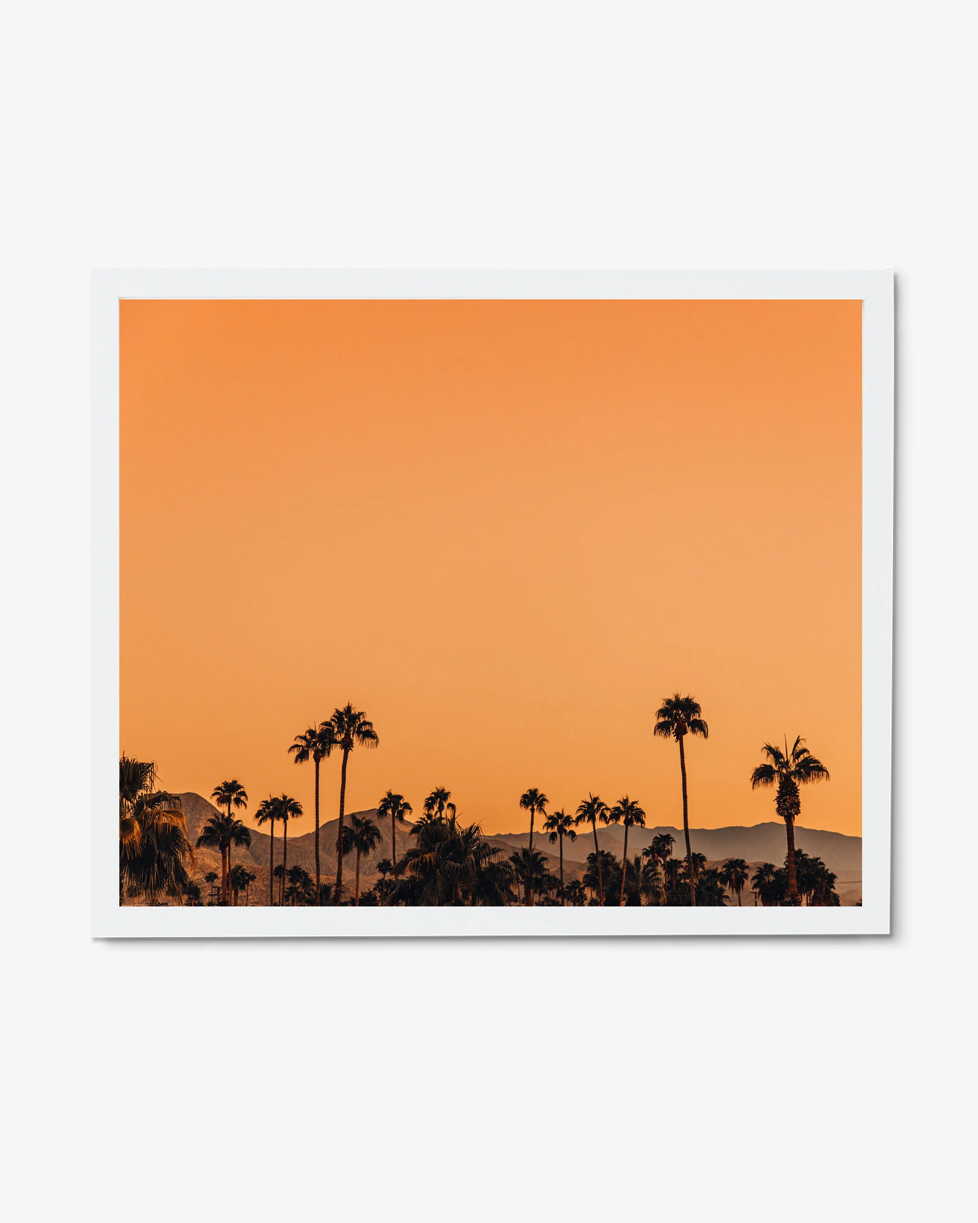 arielle vey | photography