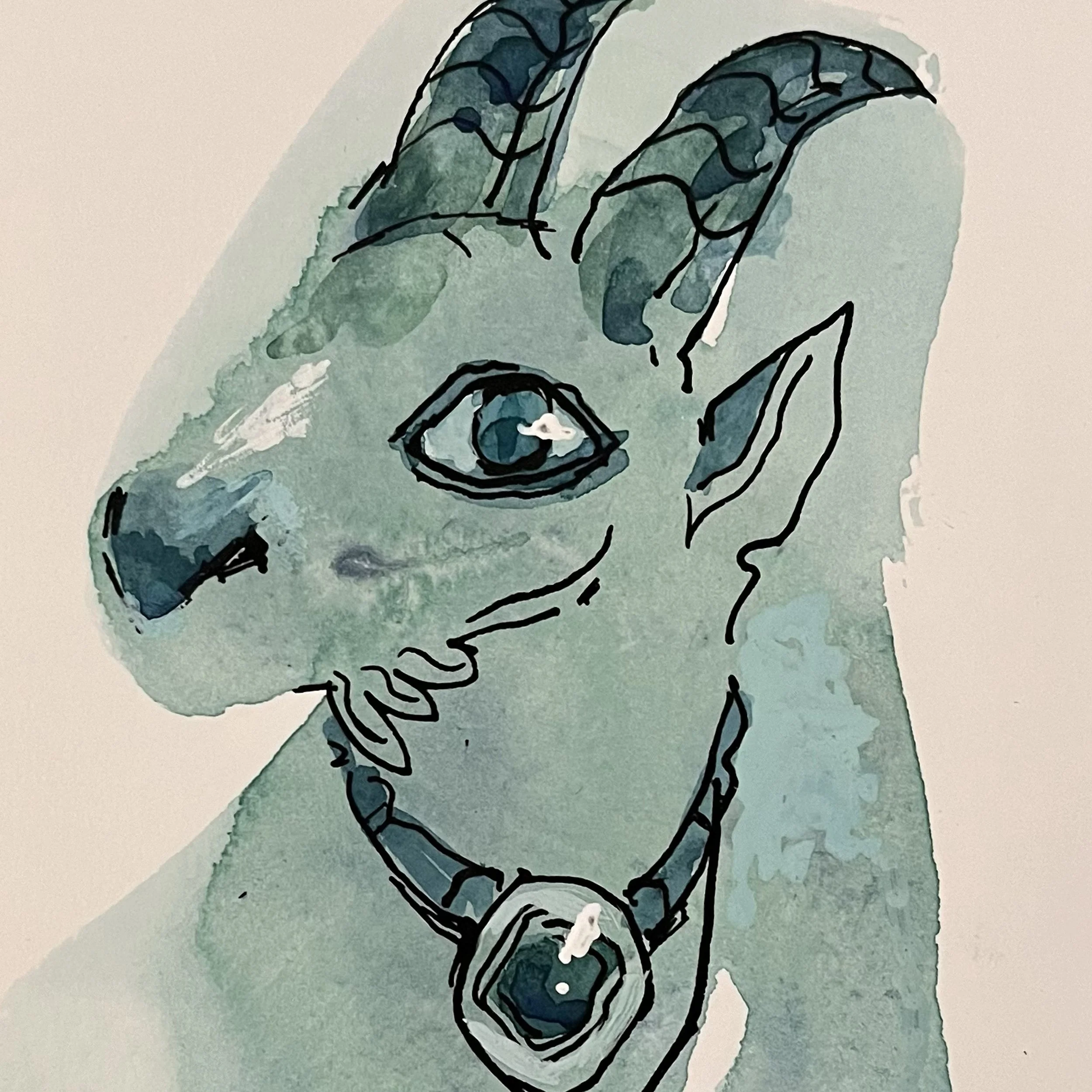 Shop — Zelda Devon