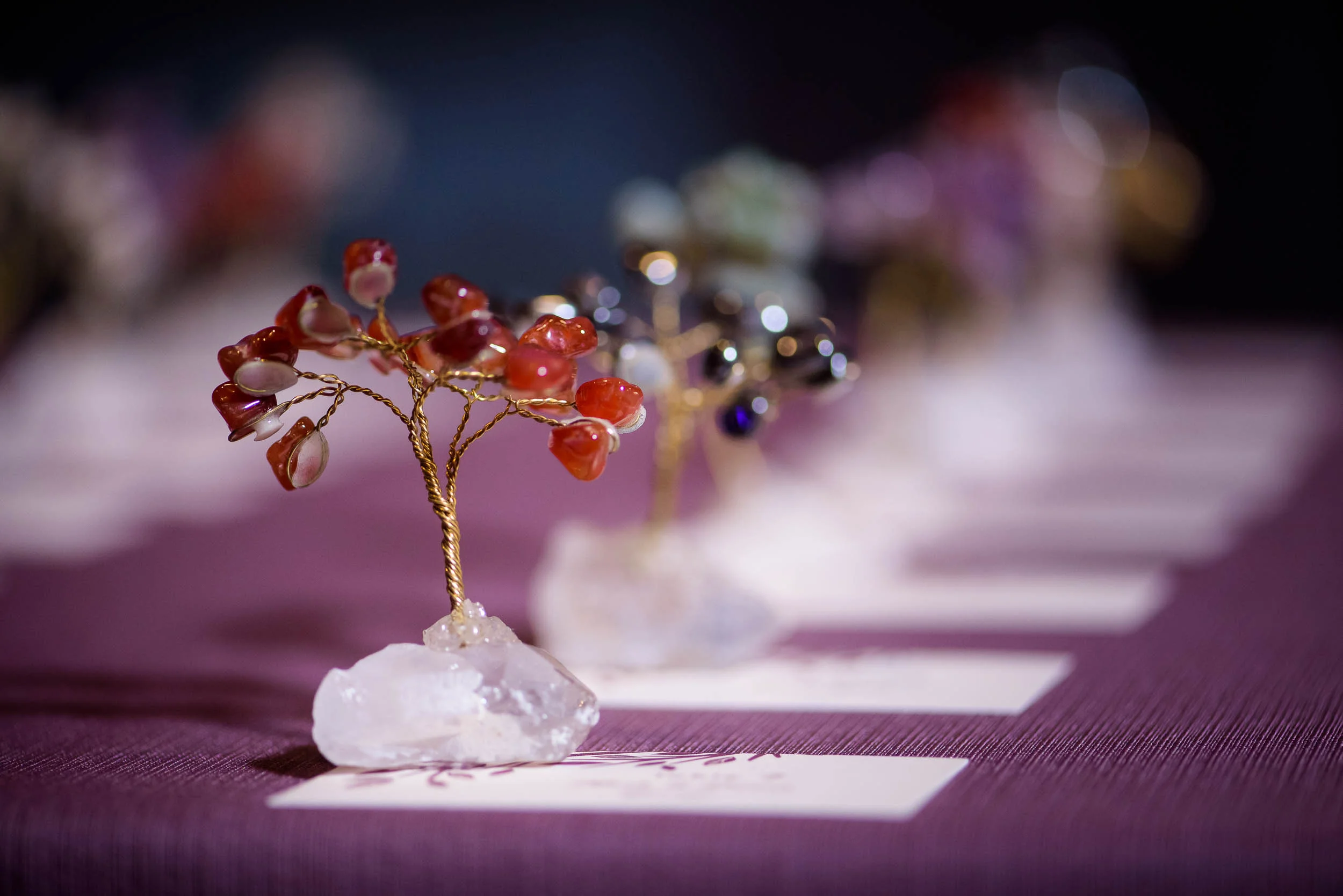 Chicago Wedding Photographer | Wedding Photojournalist