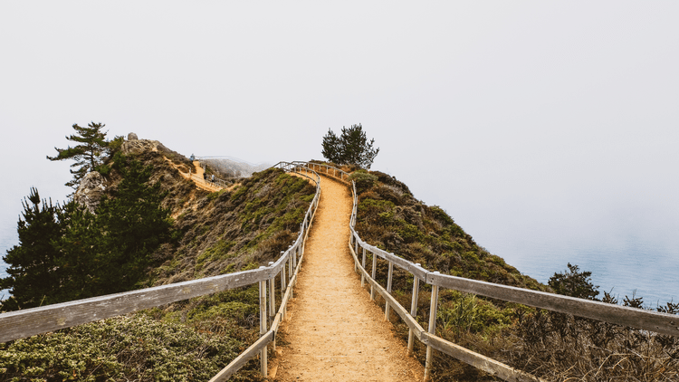 Free Enneagram Course Bundle