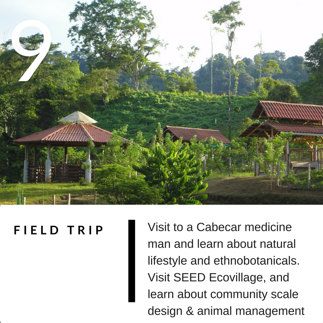 Permaculture Design Courses 2020 2021 — Finca Tierra Permaculture ...