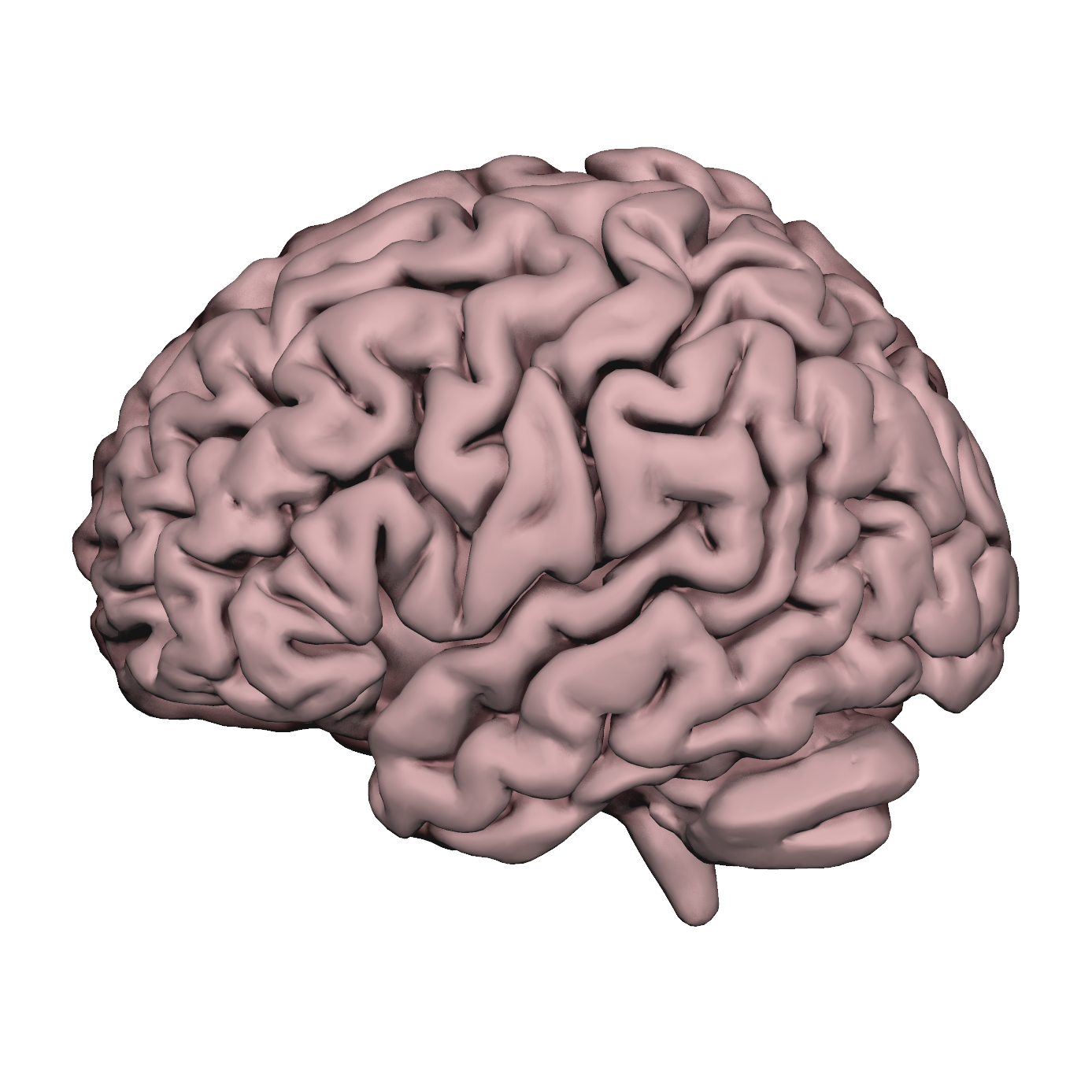 Diagram a Brain ROI — Concepts & Cognition Laboratory