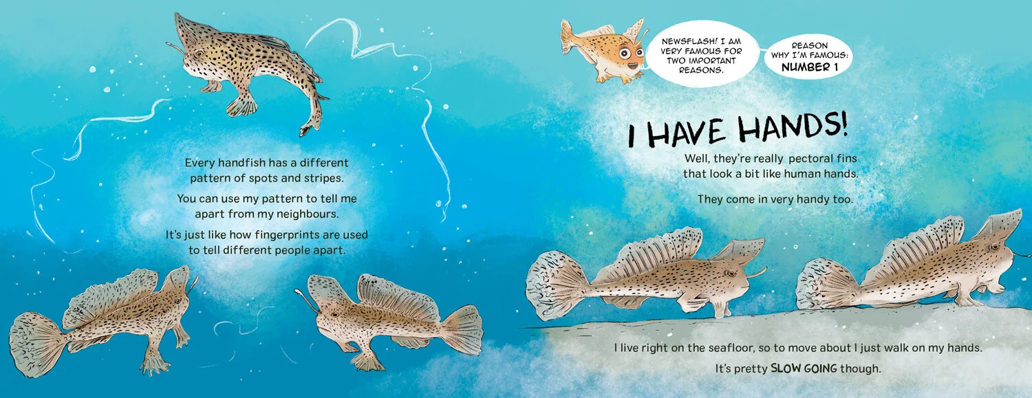 Hold On! Saving the Spotted Handfish — Rachel Tribout