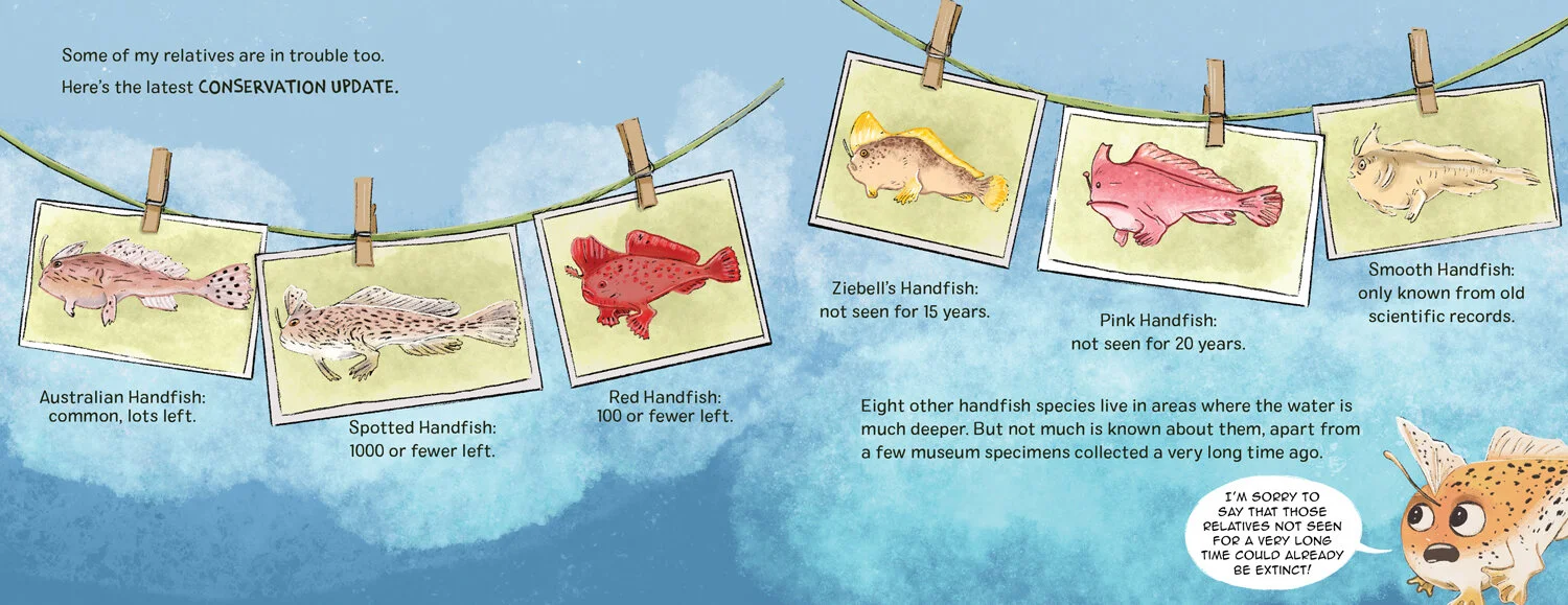 Hold On! Saving the Spotted Handfish — Rachel Tribout