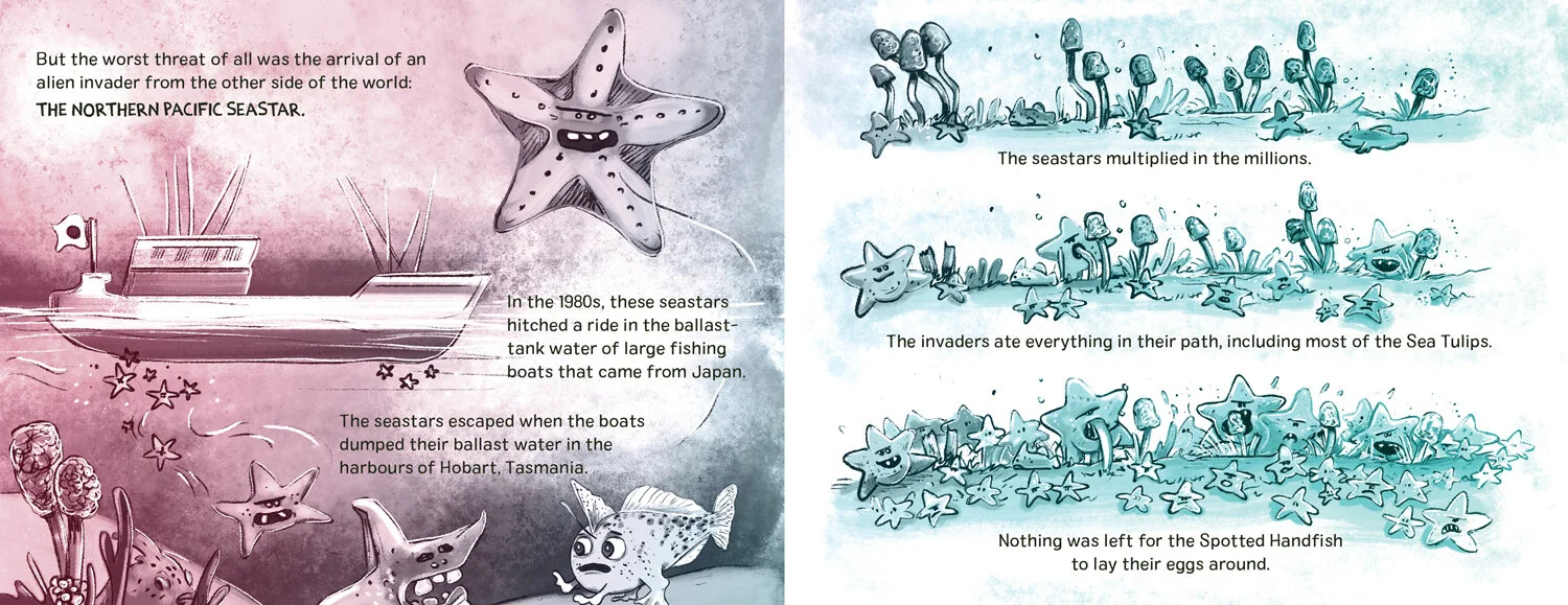 Hold On! Saving the Spotted Handfish — Rachel Tribout
