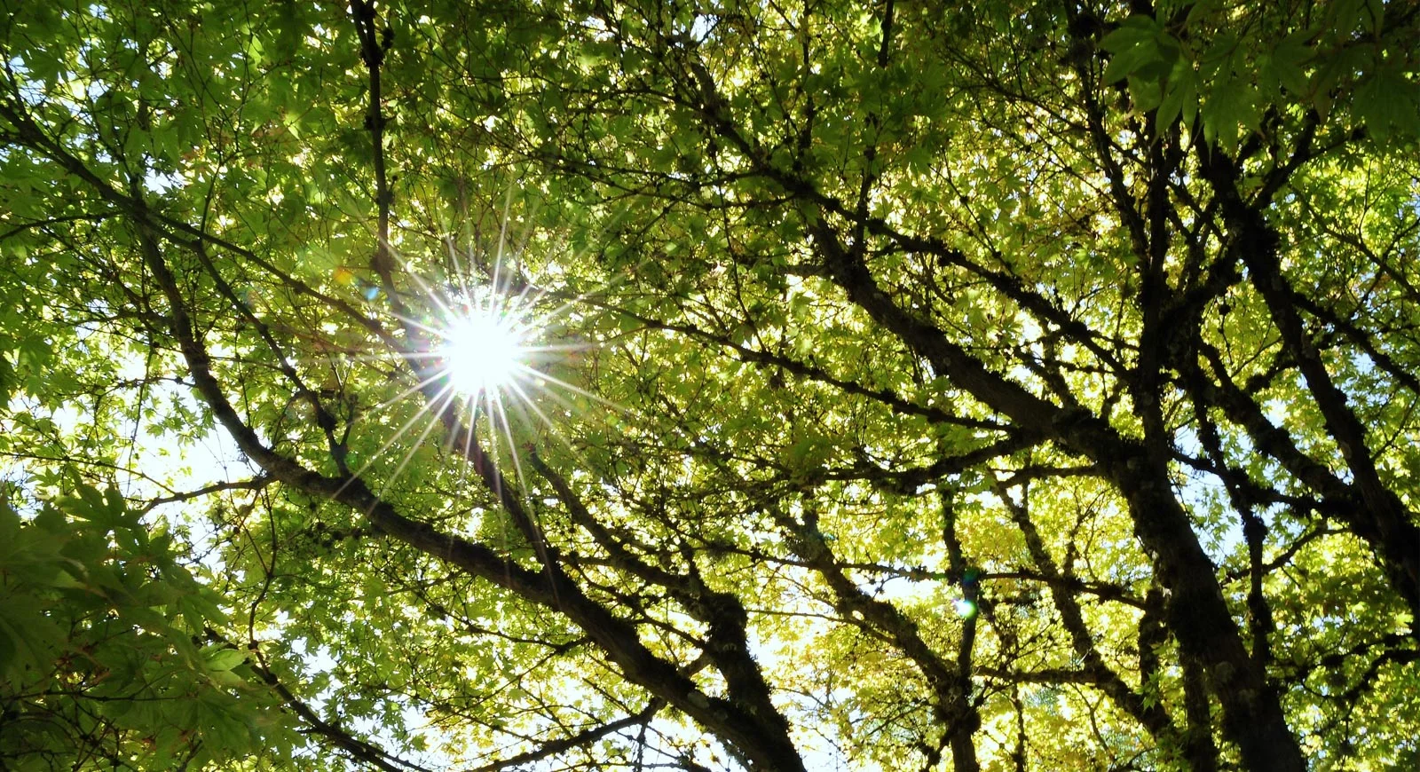 Donate — Canby Grove Christian Center