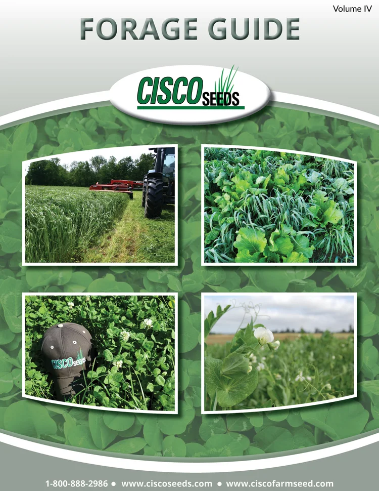 Consider a Forage Planting of Peas and Oats — CISCO Farm Seed